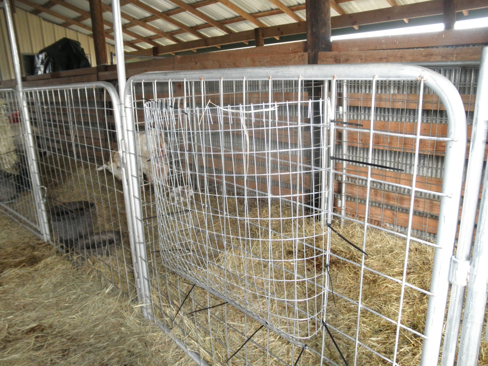 Harmon PFarms: FARM TIP: Easy, Inexpensive Hay Rack